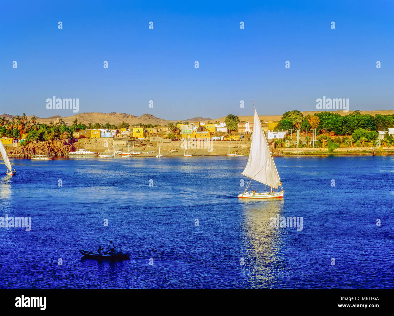 Flora of egypt hi-res stock photography and images - Alamy