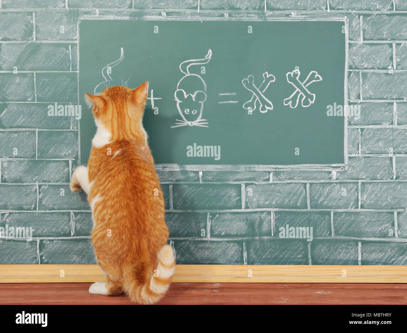 Funny idea hi-res stock photography and images - Alamy