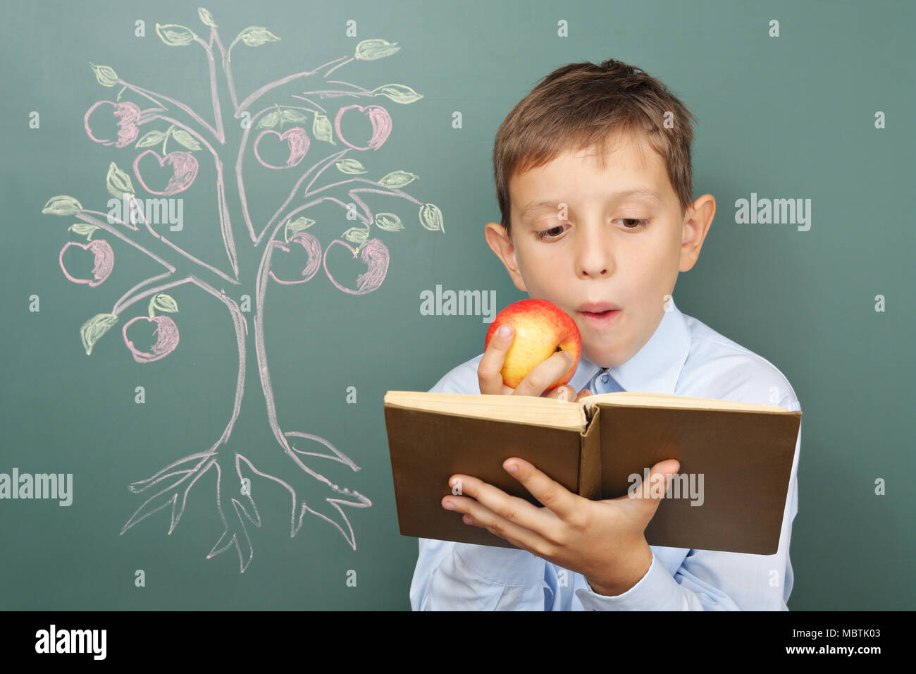 Tree of knowledge education concept with boy reading book Stock Photo ...