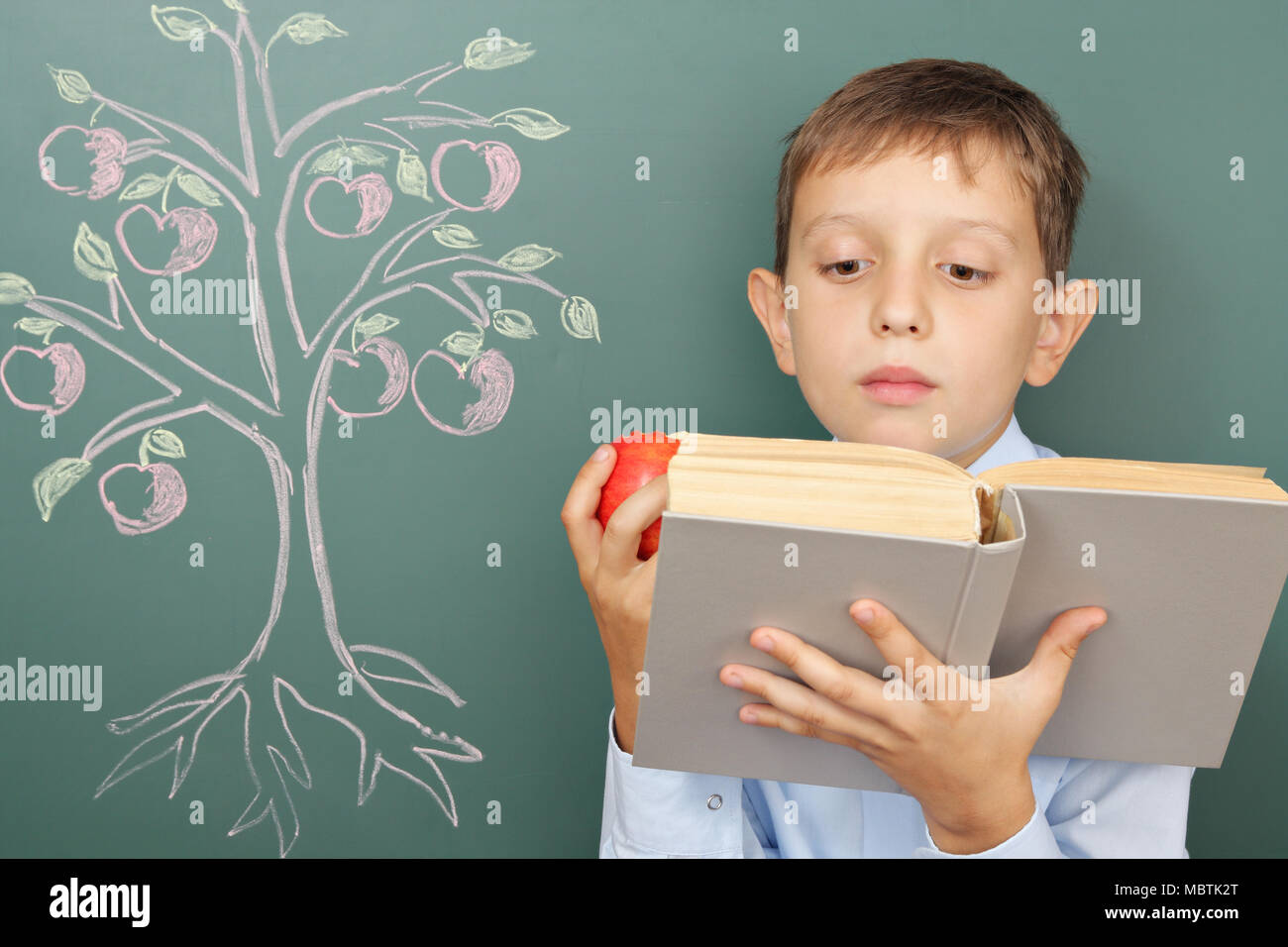 Tree of knowledge education concept with boy reading book Stock Photo ...