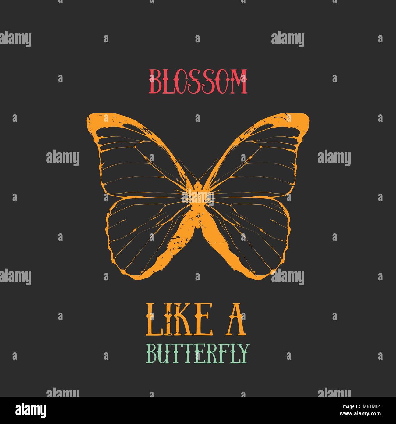Bright butterfly Stock Vector Images - Alamy
