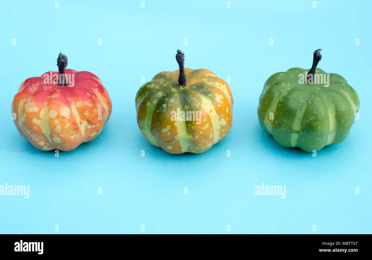 Still life photography with pumpkin hi-res stock photography and images ...