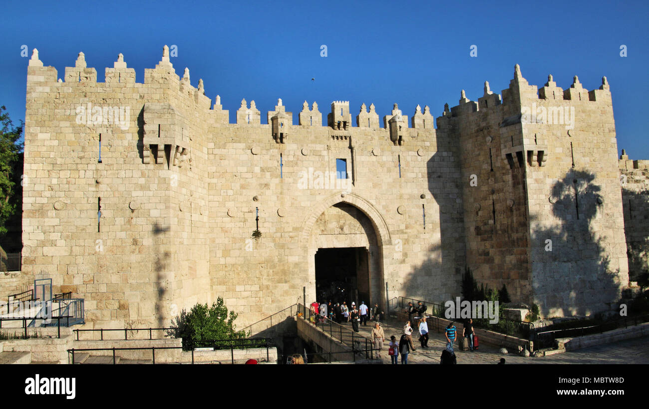 Damascas hi-res stock photography and images - Alamy