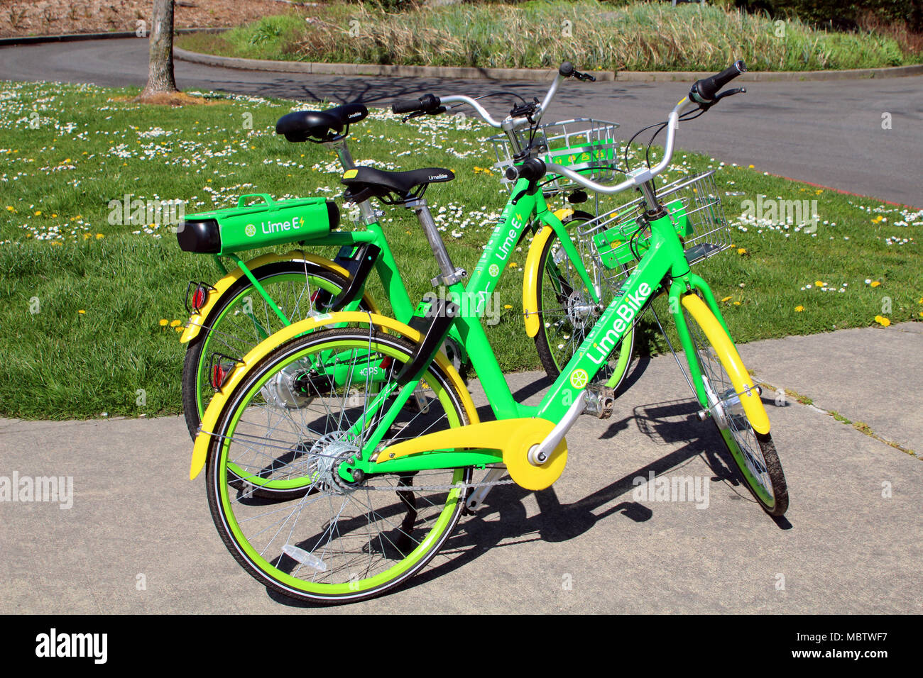 Bike-sharing bicycles at the Golden Gardens Park in Seattle, Washington ...