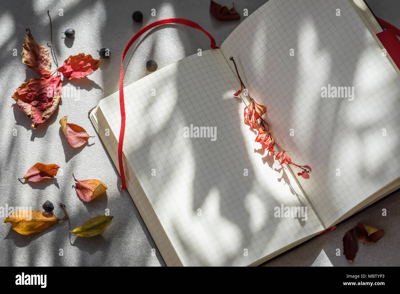 Open school notebook in cage, sunny fall day, background with copy ...