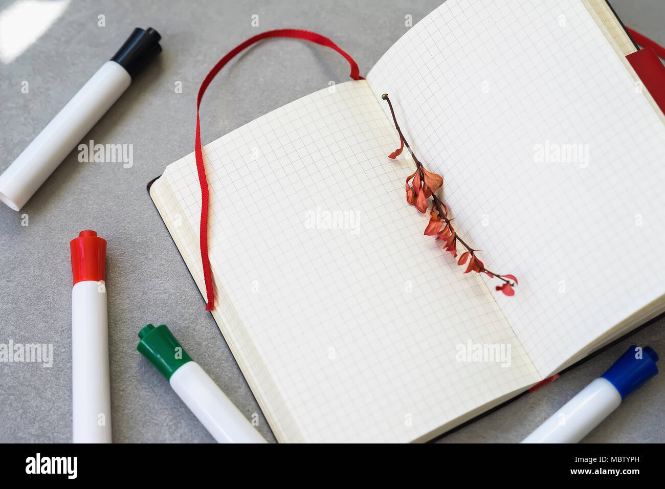 Colorful pens, open school notebook, bookmarks from autumnal branch ...