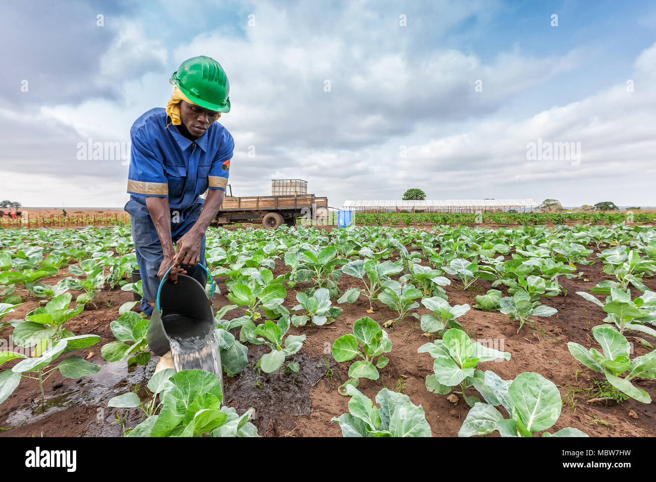 African farmer watering land hi-res stock photography and images - Alamy