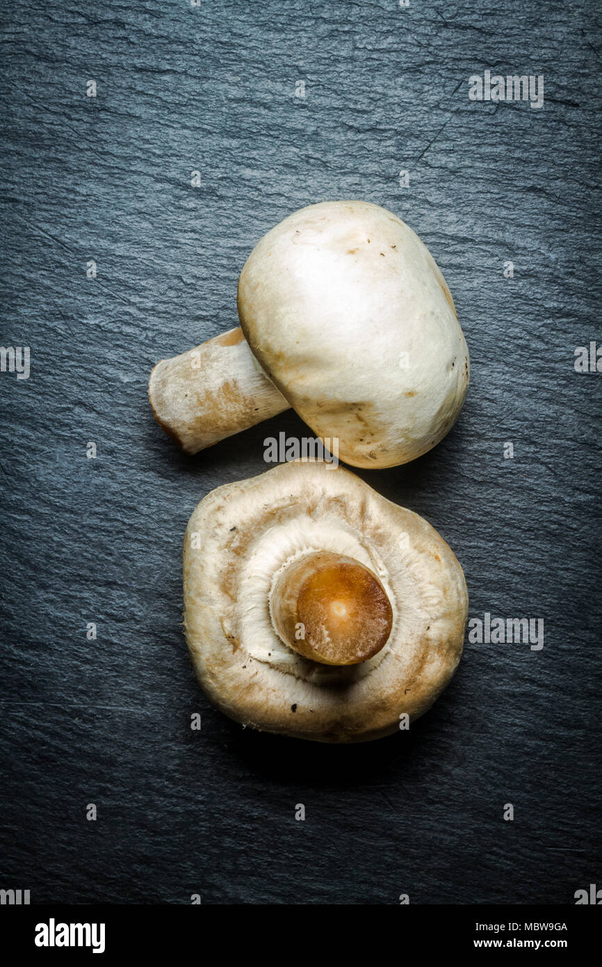 Raw champignon mushroom (Agaricus bisporus). Florianopolis, Santa ...