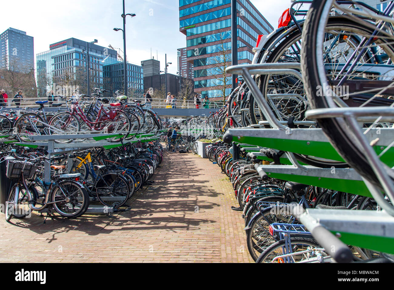 Bicycle parking, parking, in the city center of Rotterdam, at the train ...