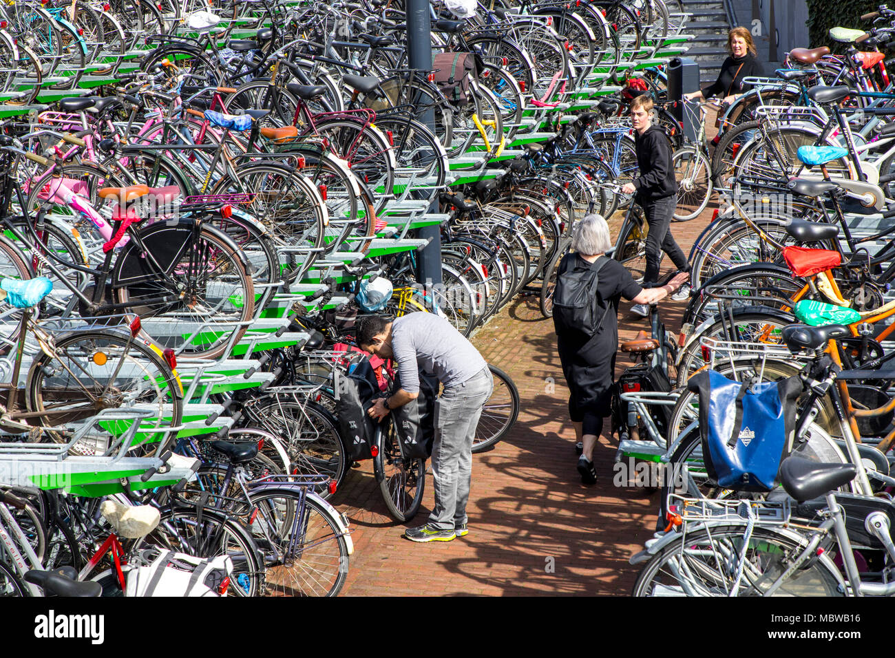 Bicycle parking, parking, in the city center of Rotterdam, at the train ...