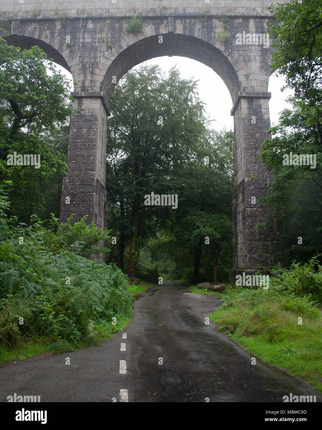 Road going under arch of the hundred foot 100' high Treffry viaduct ...