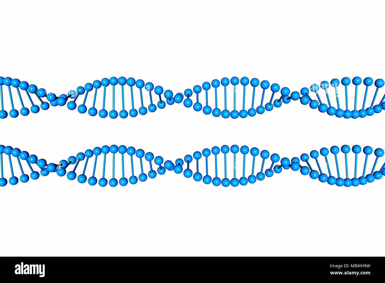 DNA Molecule isolated on white background Stock Photo - Alamy