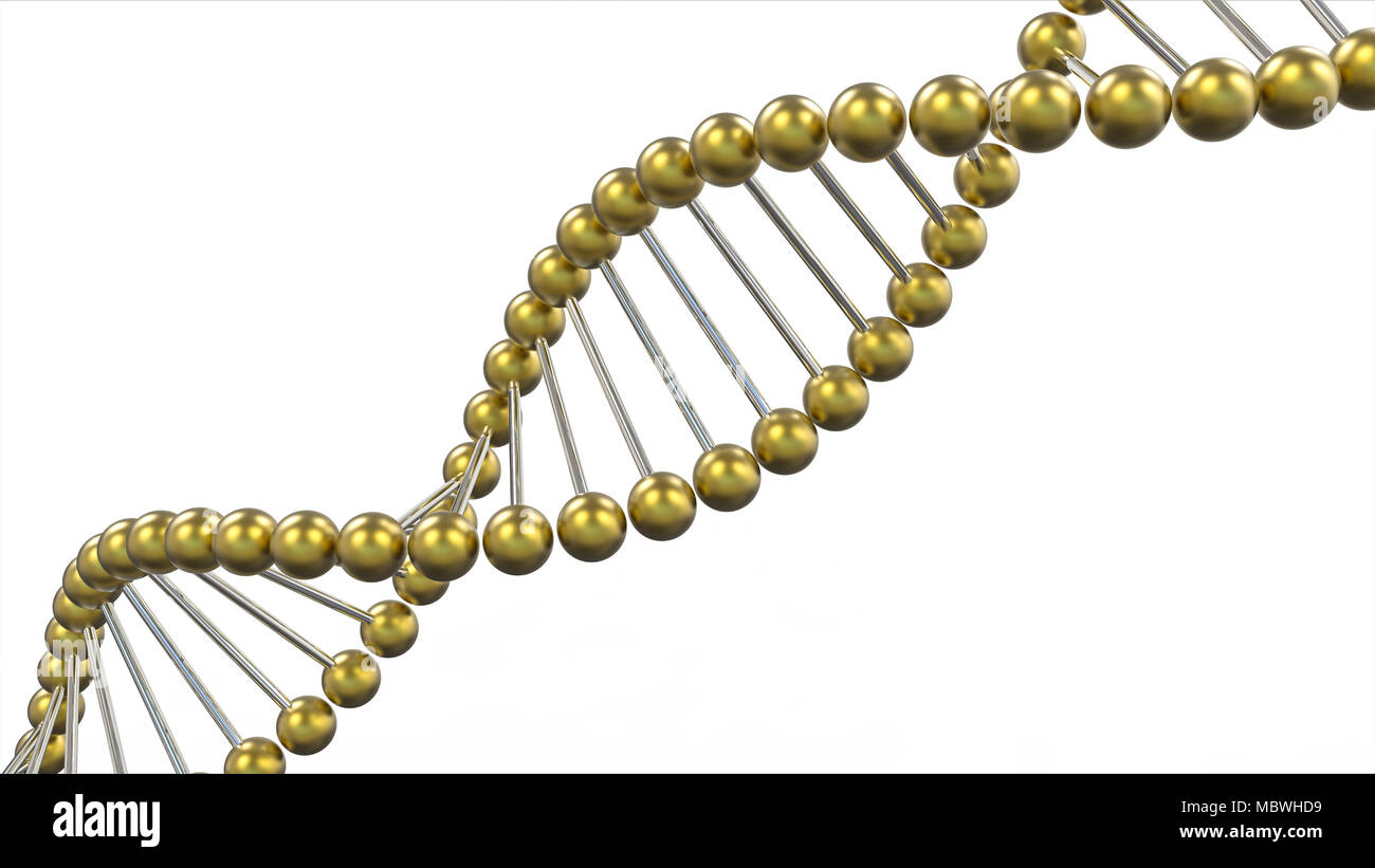 Golden DNA chain isolated on white background. 3D illustration Stock ...
