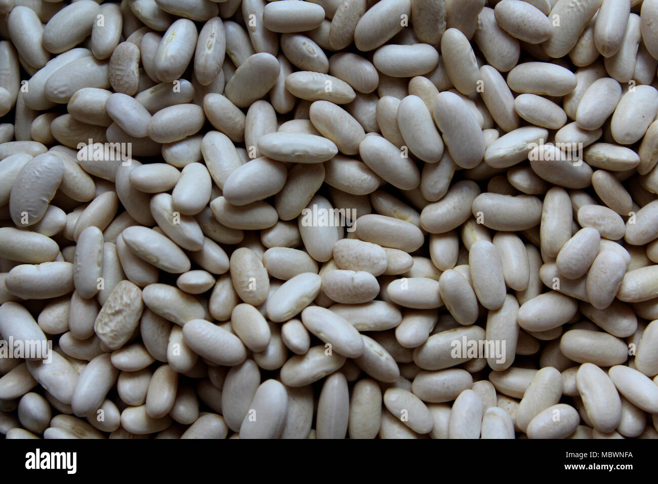 Natural objects hi-res stock photography and images - Alamy