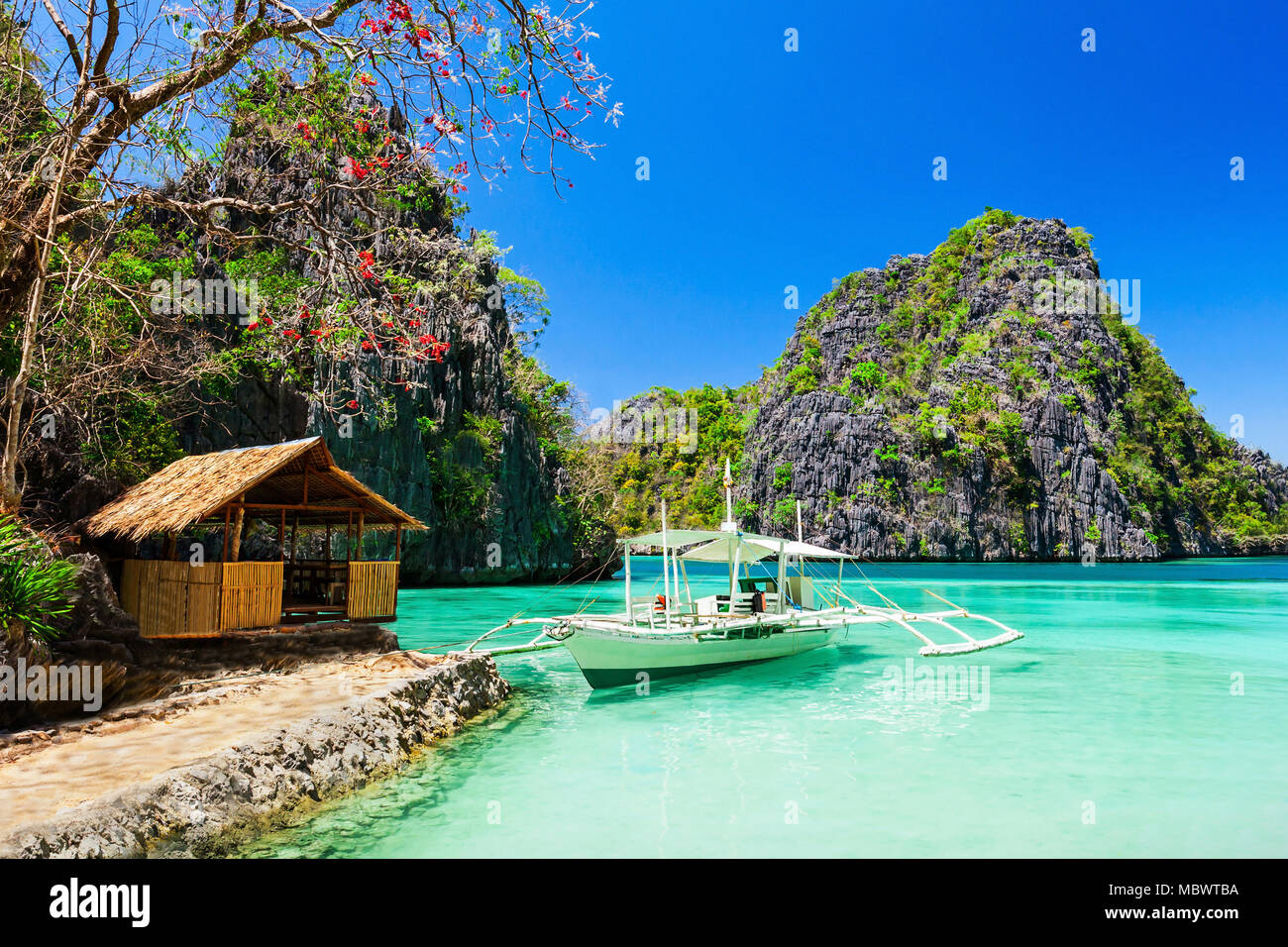 Filipino boat in the sea, Coron, Philippines Stock Photo - Alamy