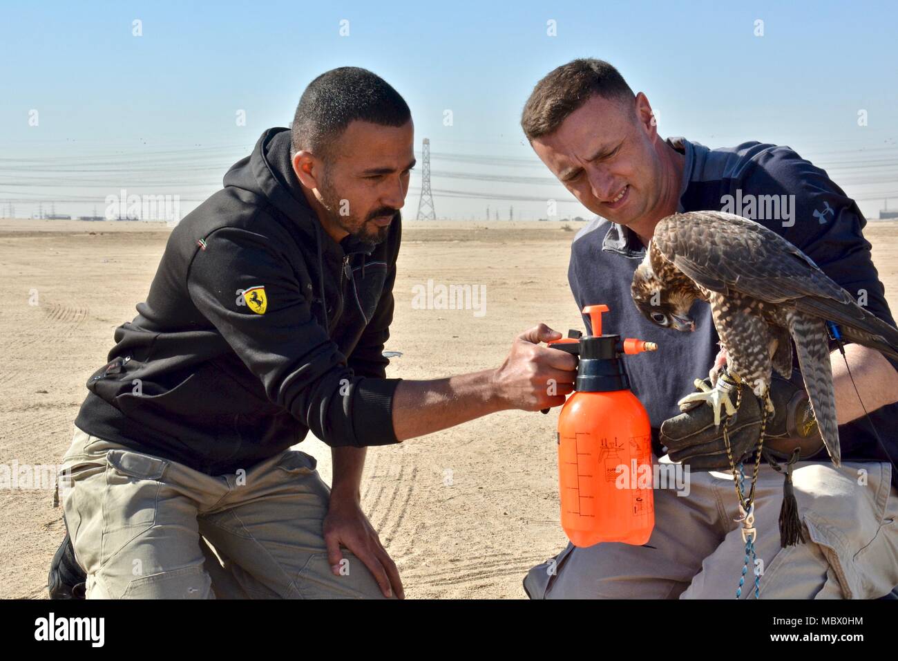 Almass High Resolution Stock Photography and Images - Alamy