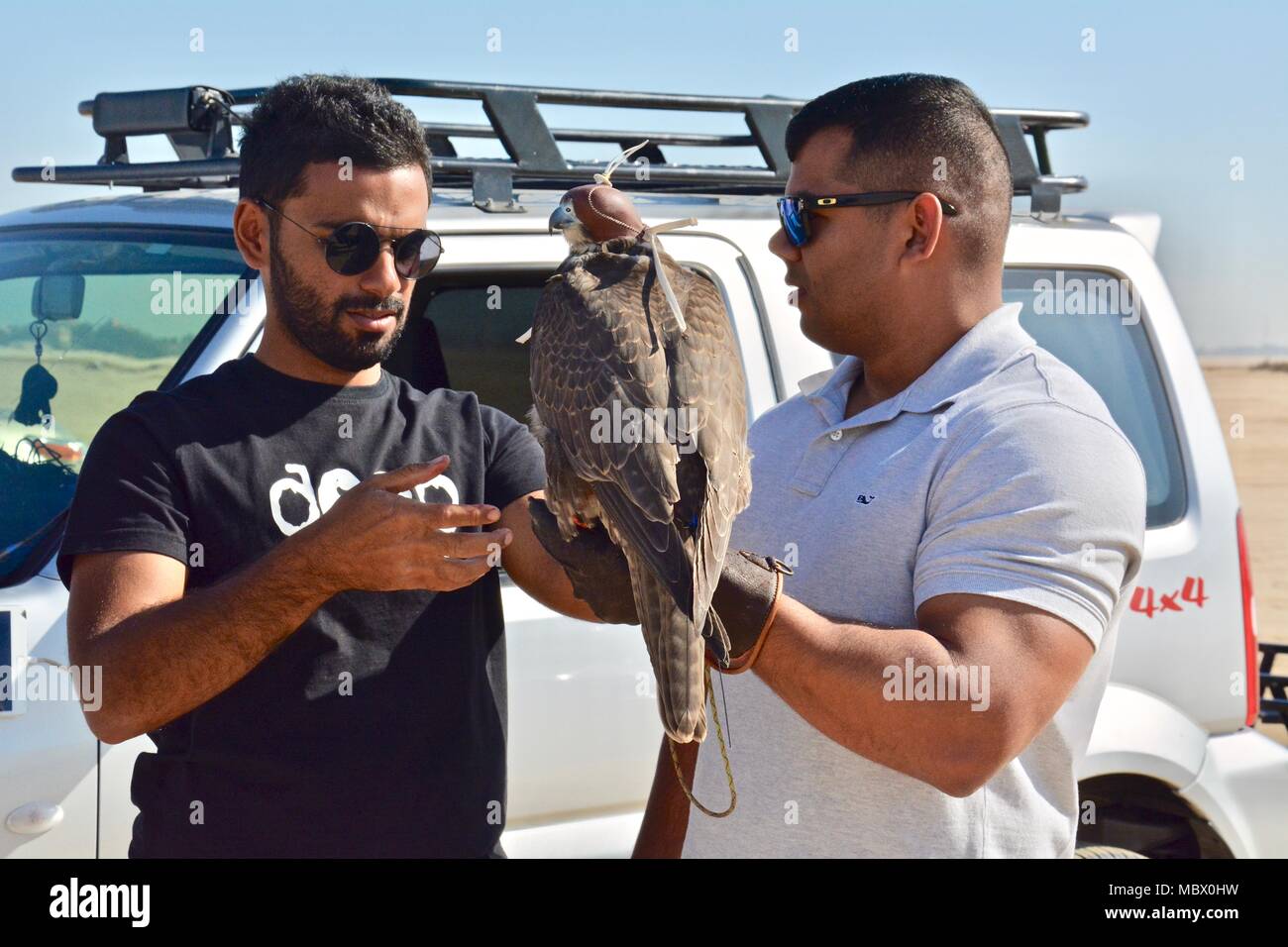 AL- ZOUR- Kuwait- Mohammad Al-Farhan, Falconer, teaches Cpt. Gawain ...