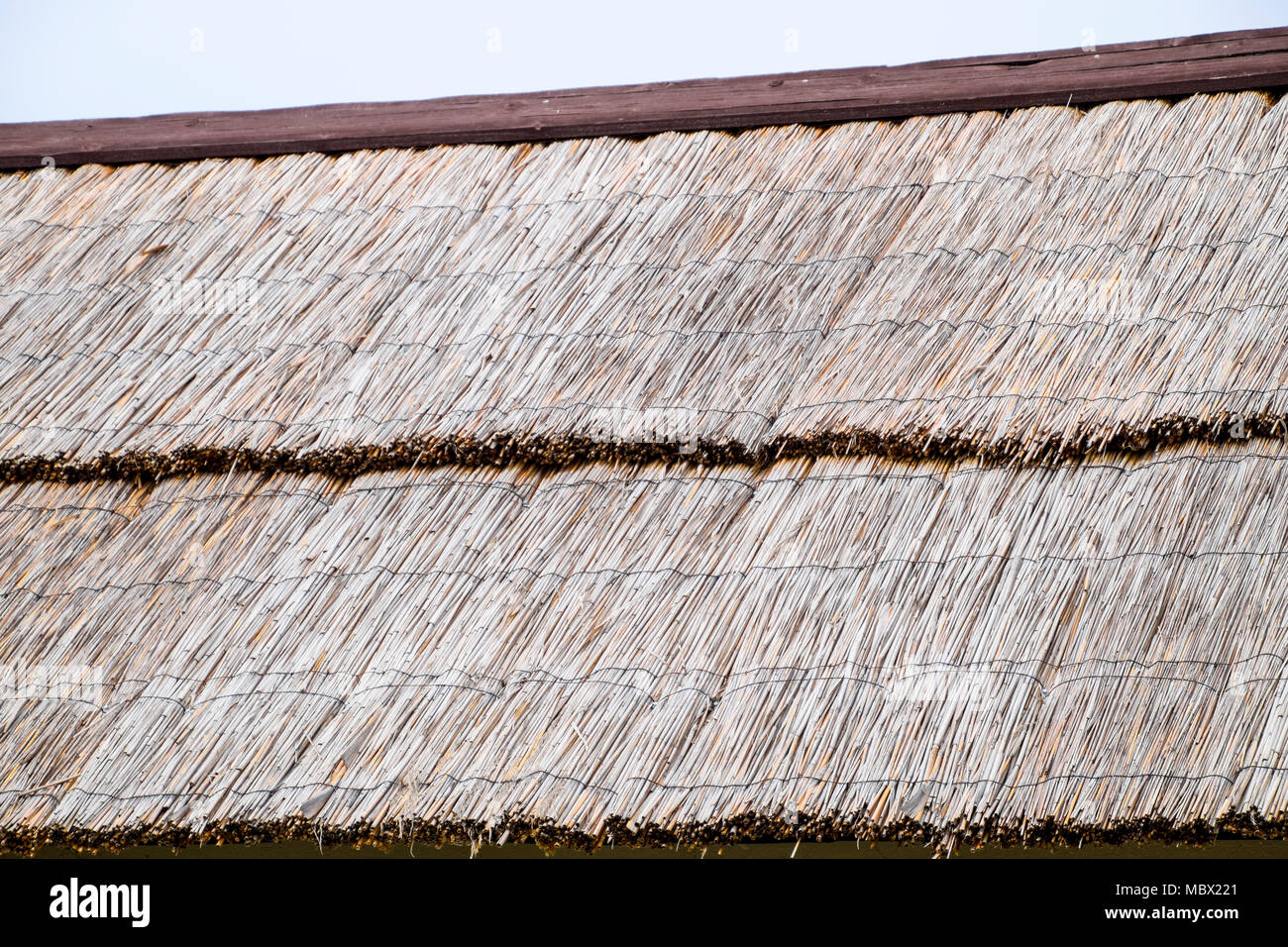 The slope of the roof of reeds and straw. Ancient building materials ...