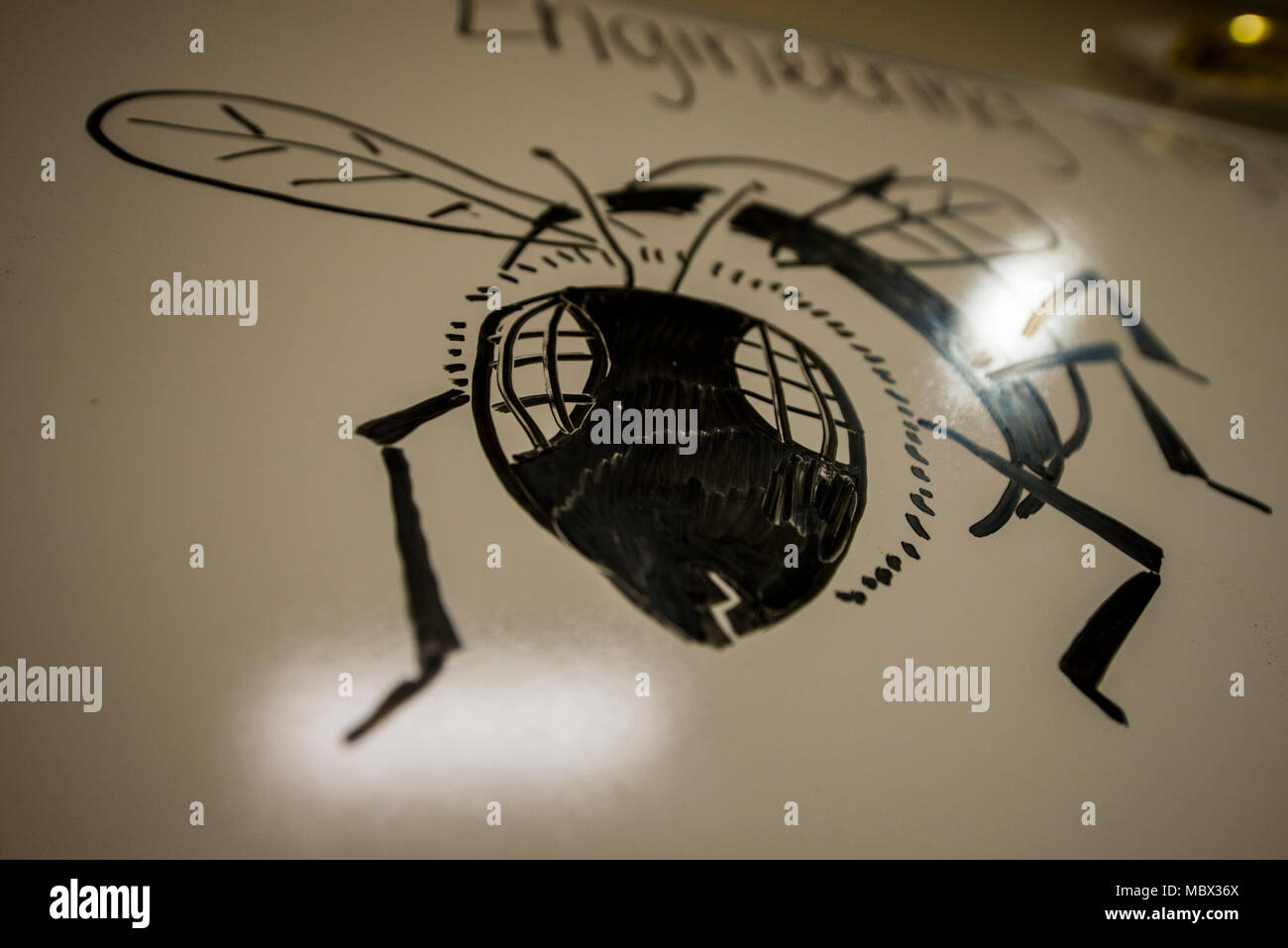 The 20th Aerospace Medicine Squadron bioenvironmental engineering ...