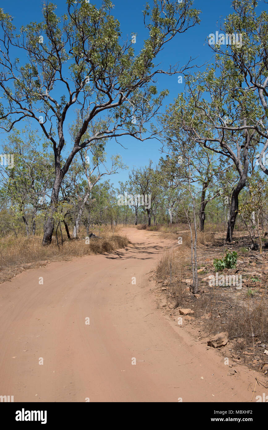 A dirt track through the bush in Litchfield National Park, Northern ...