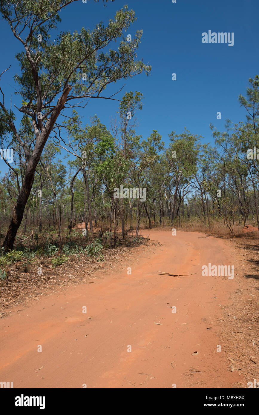A dirt track through the bush in Litchfield National Park, Northern ...
