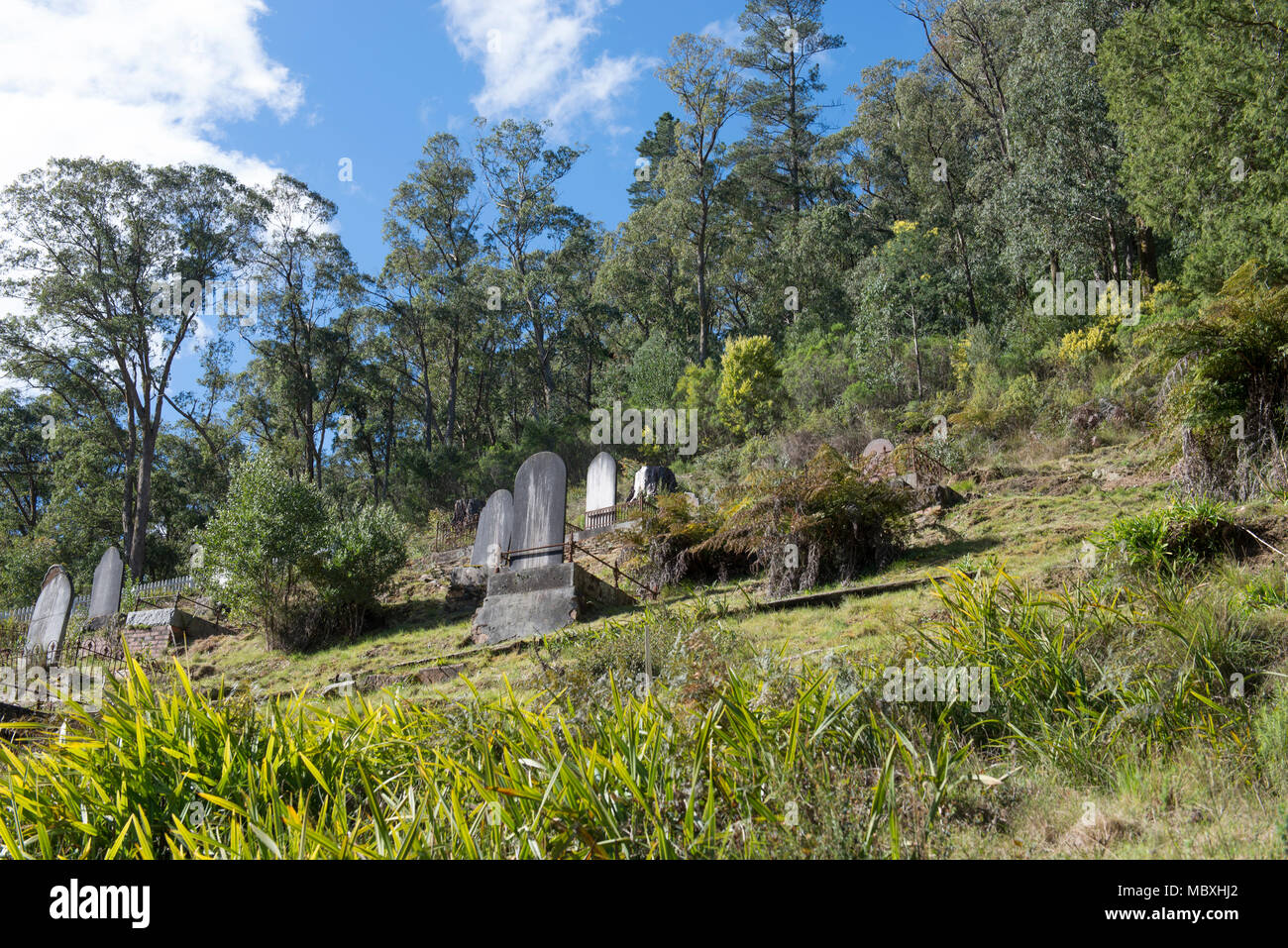 Walhalla Cemetery, on a spectacular hillside location, in the historic ...