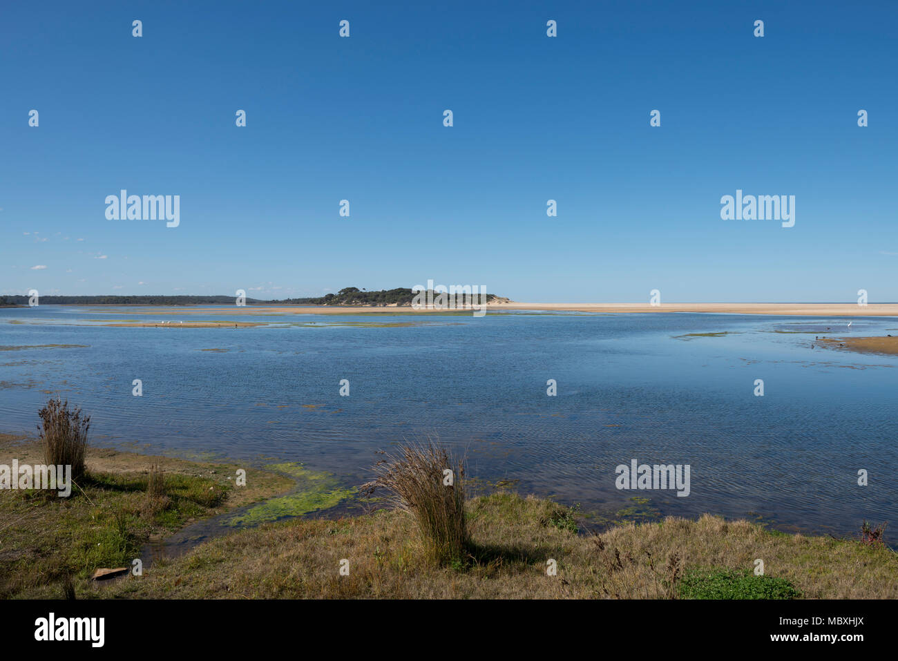 Lake Tyers in Victoria, Australia, where it enters the sea at the ...