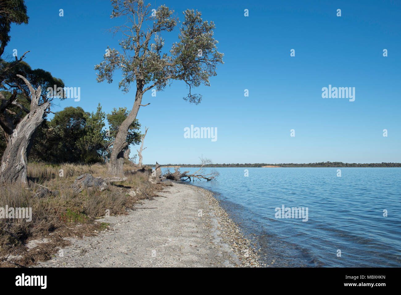 Banksia Peninsula, near the town of Bairnsdale, is a narrow sandy ...