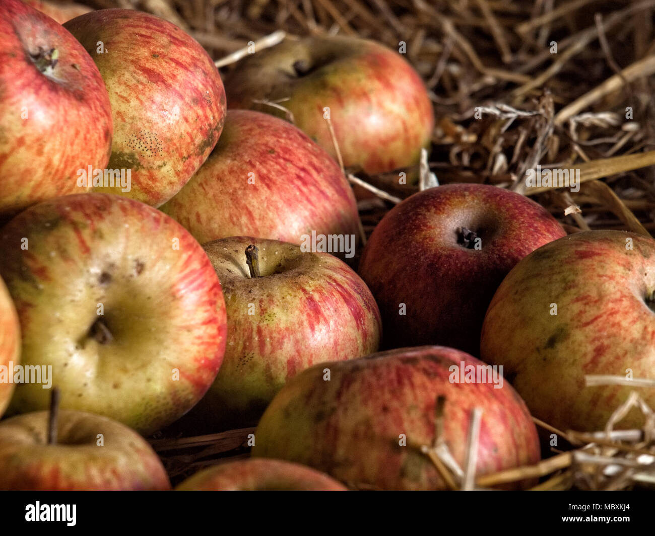 Fermented apple hi-res stock photography and images - Alamy