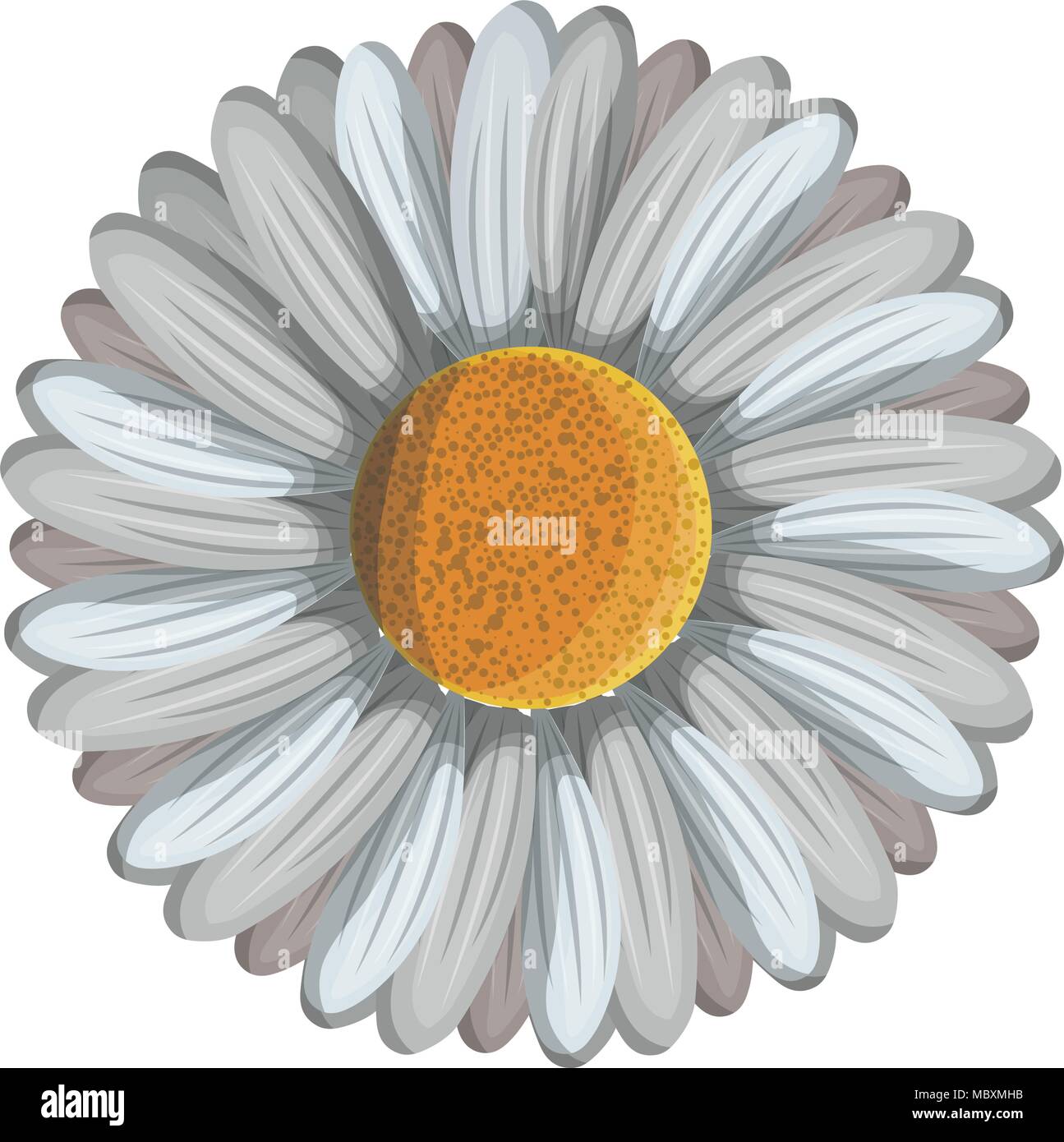 cute daisy flower decorative icon Stock Vector Image & Art - Alamy