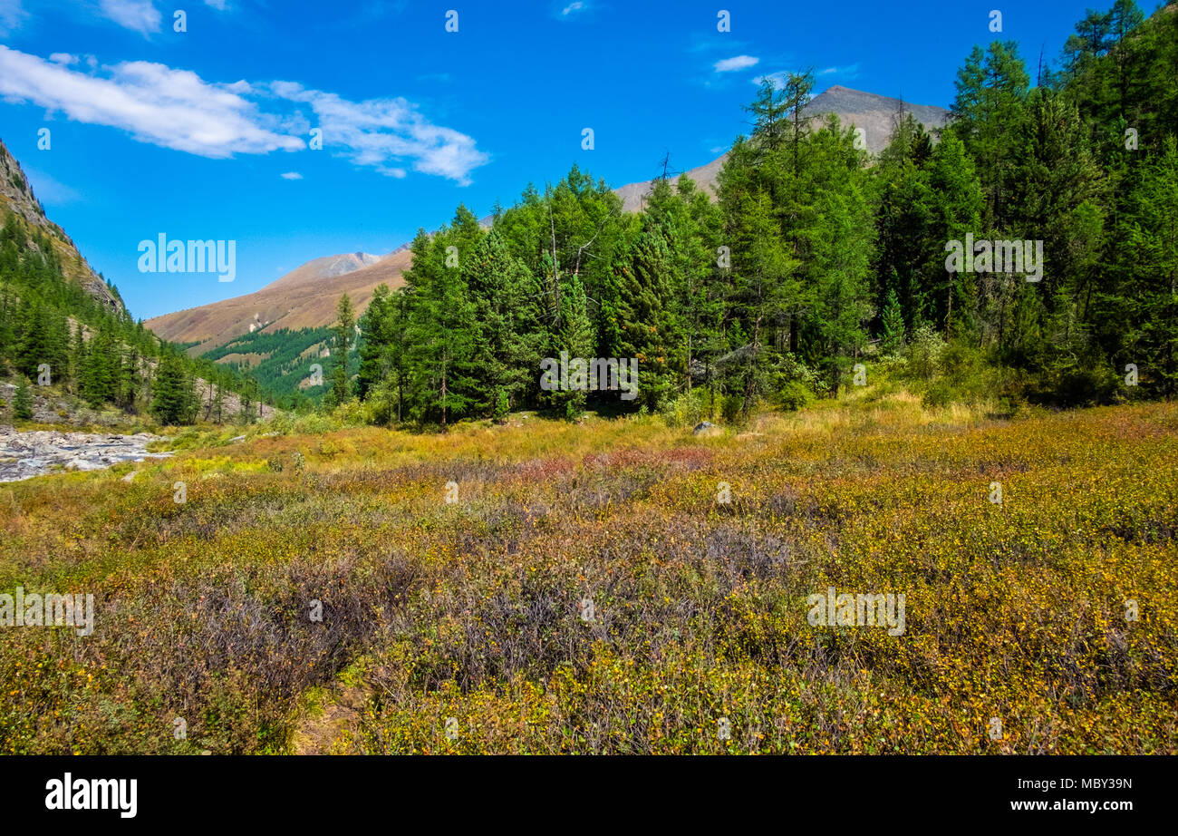 Mountain landscape. Mountain peaks in the republic of Altai Stock Photo ...
