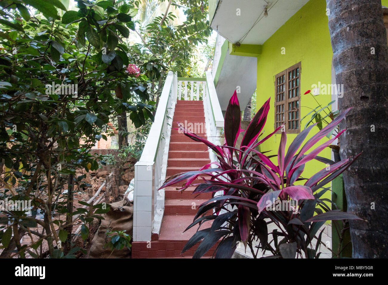 Goa coconut grove hi-res stock photography and images - Alamy