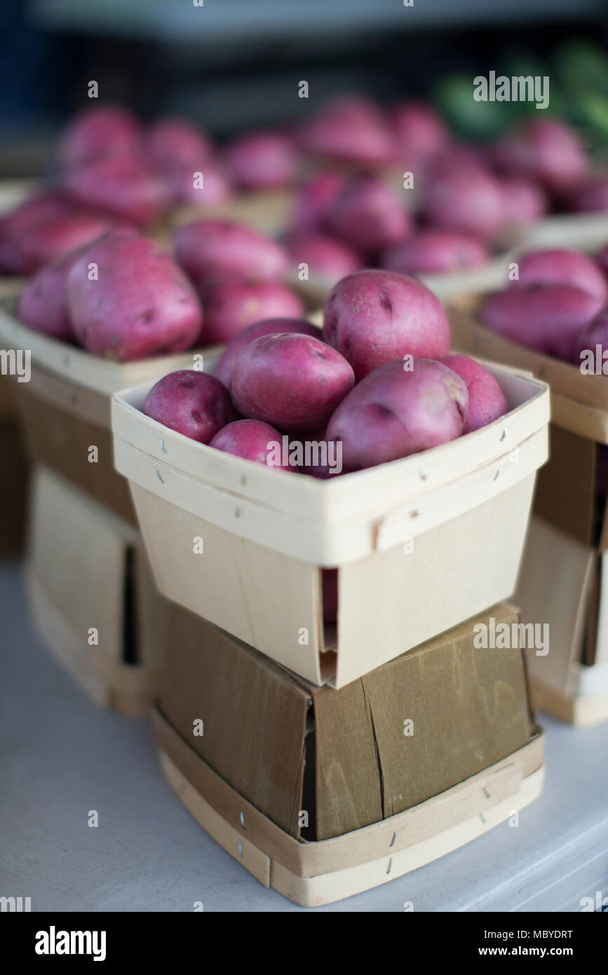 farm fresh potatoes Red in containers at a farmers market Stock Photo ...