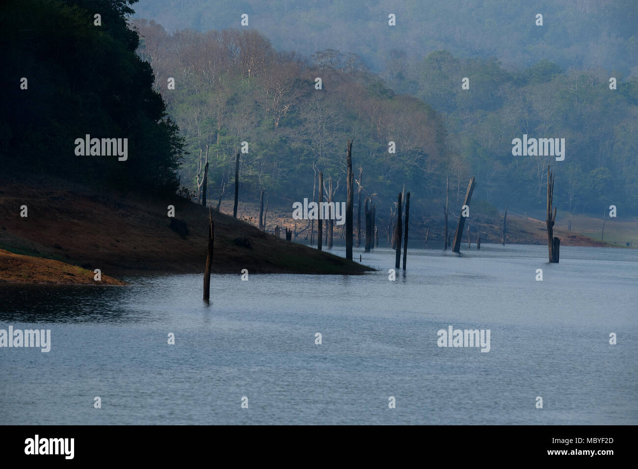 Beautiful view of boating in thekkady lake and periyar tiger reserve ...