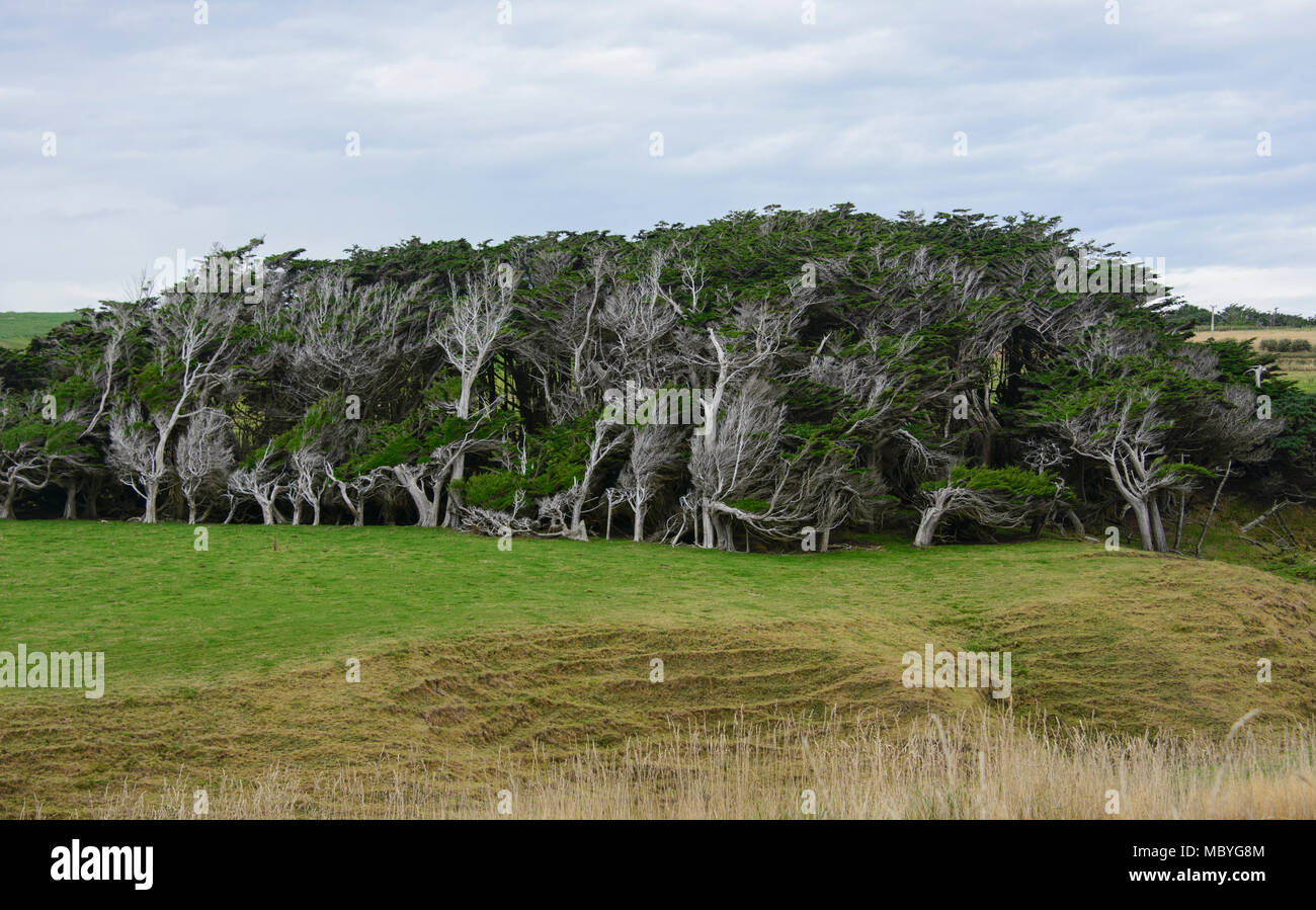 Roaring Forties High Resolution Stock Photography and Images - Alamy