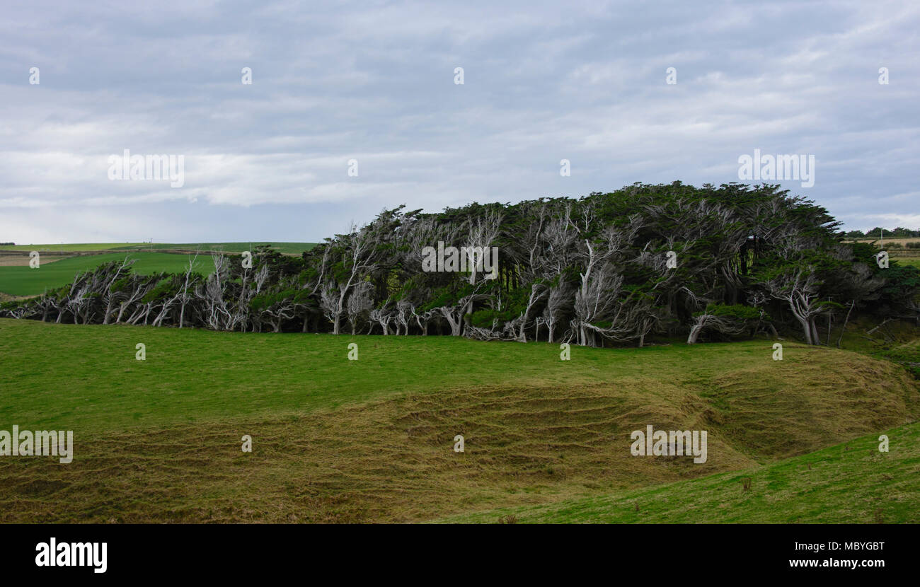 Roaring of wind hi-res stock photography and images - Alamy