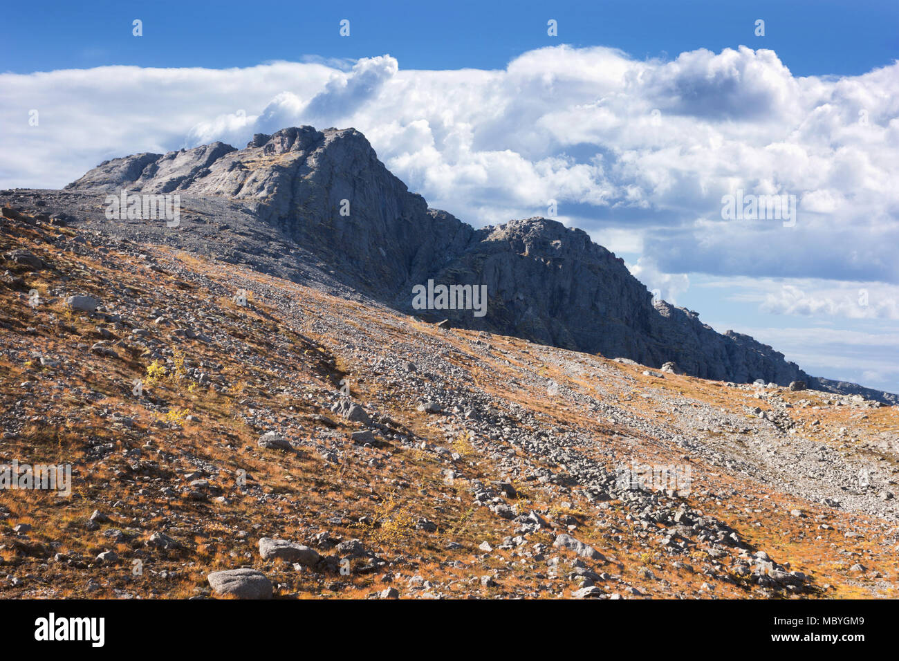 Mountain plateau in the autumn. Khibiny mountains. North Of Russia ...