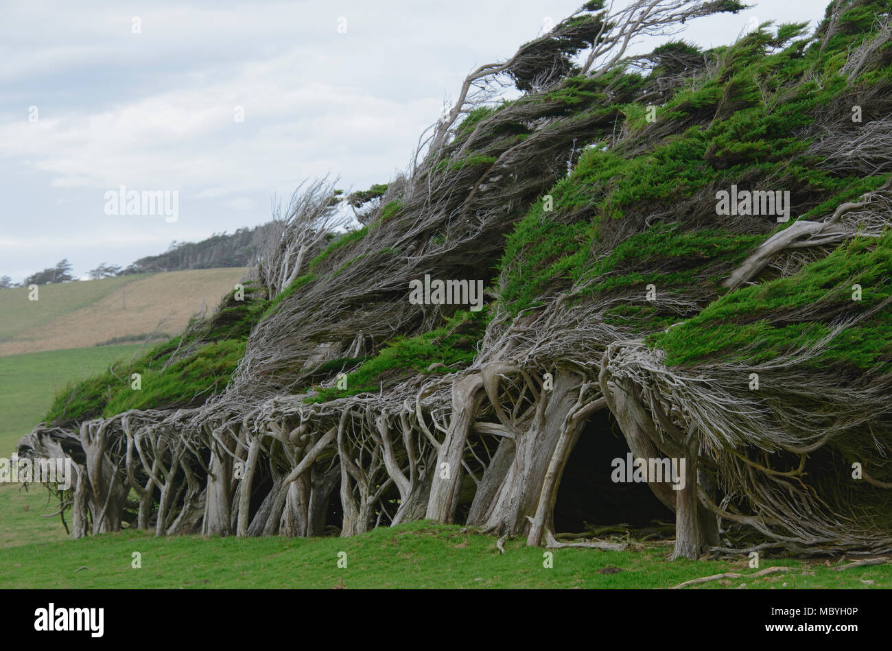 Roaring Forties High Resolution Stock Photography and Images - Alamy