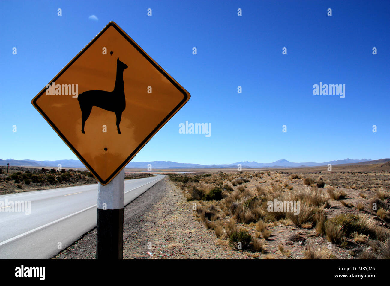 Llamas Ahead: Typical Road Signs on the Curbside of an Highway leading ...
