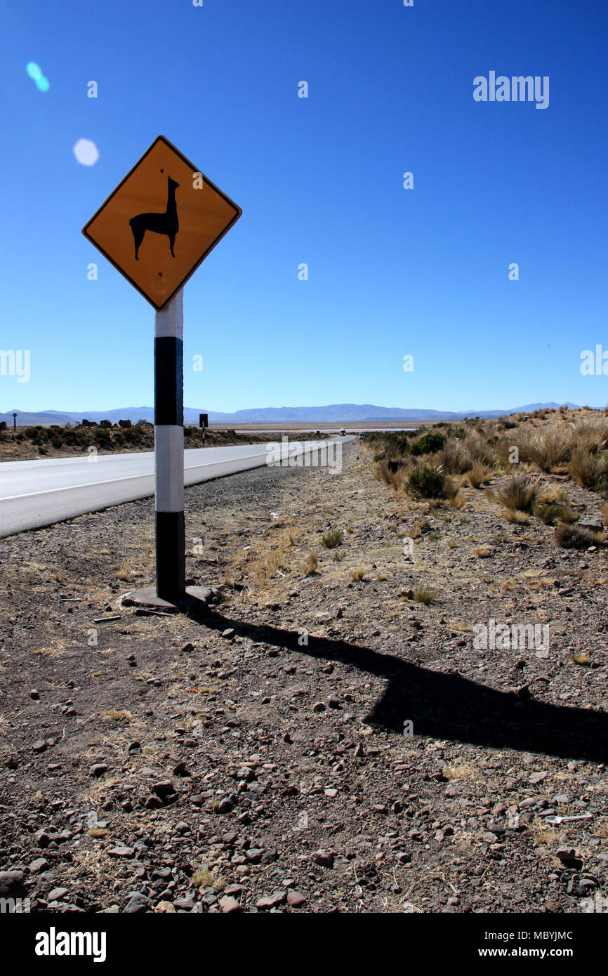 Llamas Ahead: Typical Road Signs on the Curbside of an Highway leading ...