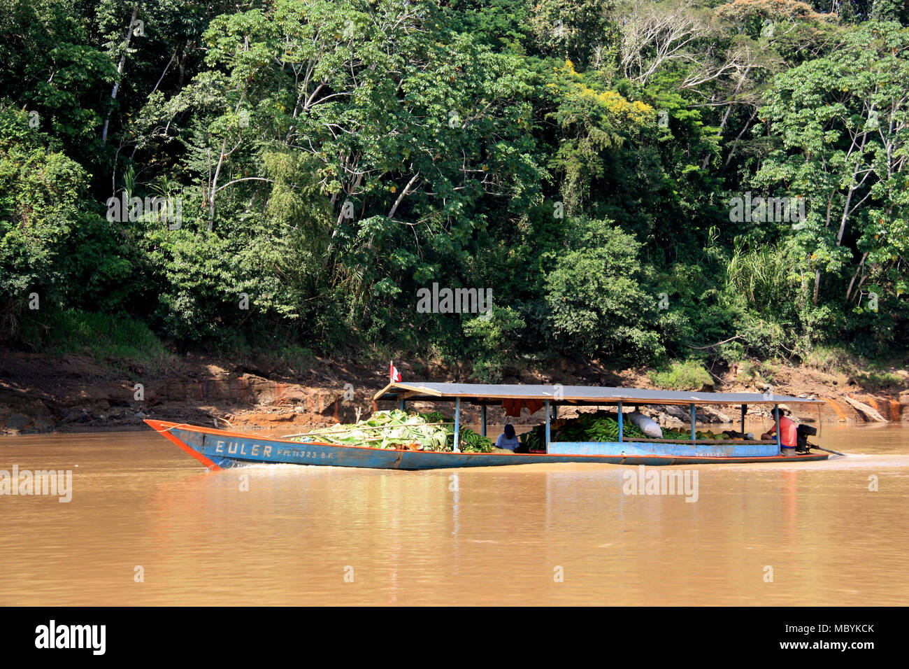 Banana Transportation Boat in the Amazon Rainforest, Tambopata National ...