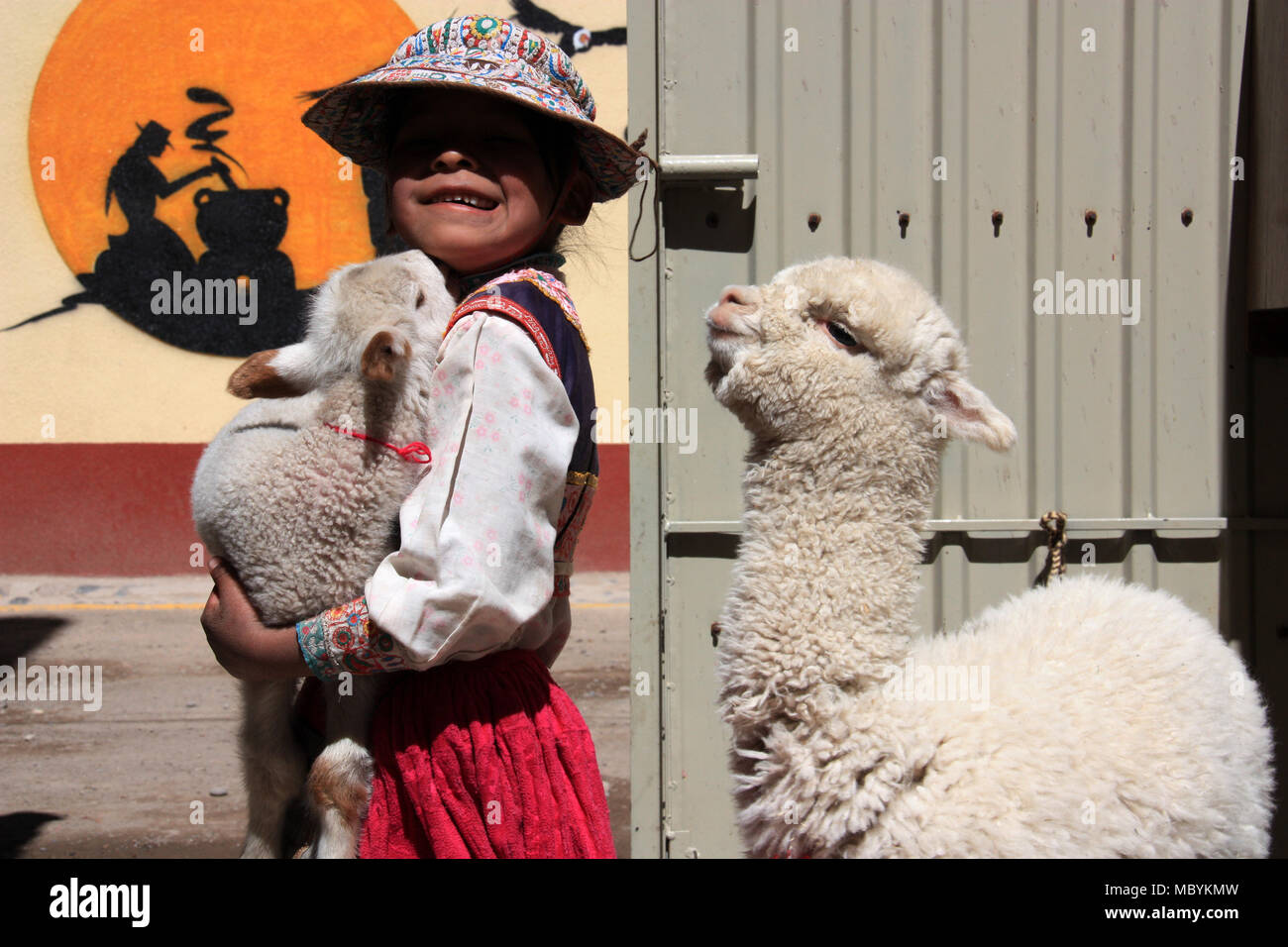 A little Girl proudly presents her Baby Lamb and Baby Llama to the ...