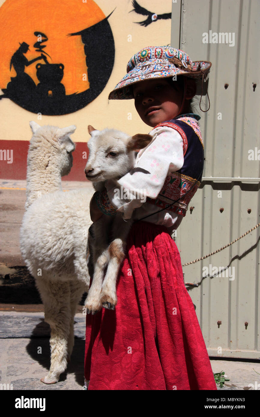 A little Girl proudly presents her Baby Lamb and Baby Llama to the ...