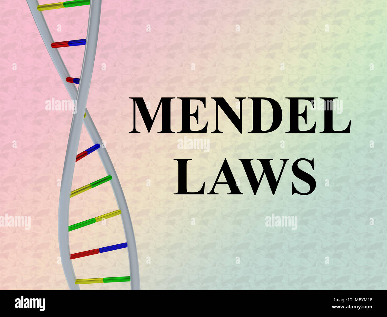 3D illustration of MENDEL LAWS script with DNA double helix , isolated ...