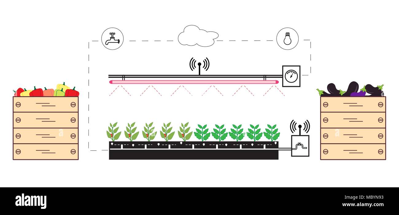 Smart farm and agriculture. Monitoring and control of temperature ...