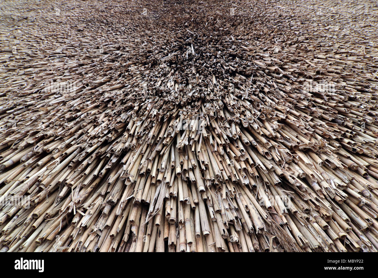 Reed roof texture hi-res stock photography and images - Alamy