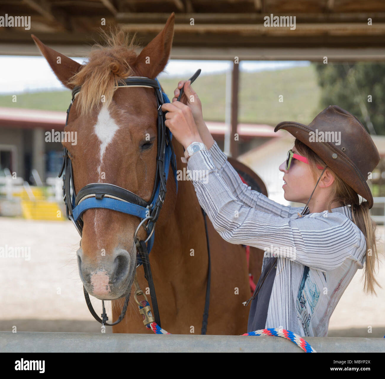 Stepp stables hi-res stock photography and images - Alamy