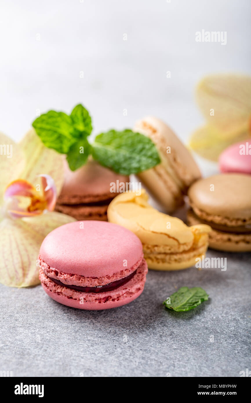 French assorted macarons Stock Photo - Alamy