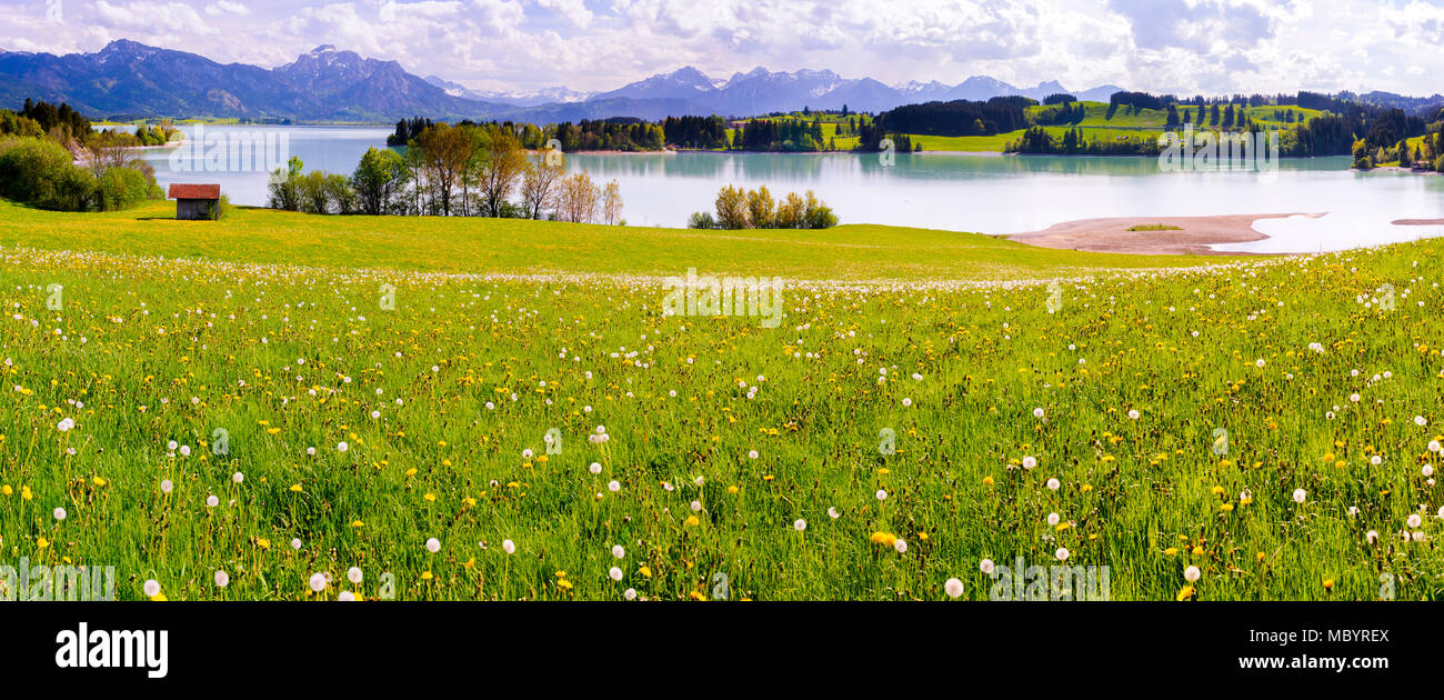 panoramic landscape in Bavaria with alps mountain range and lake ...