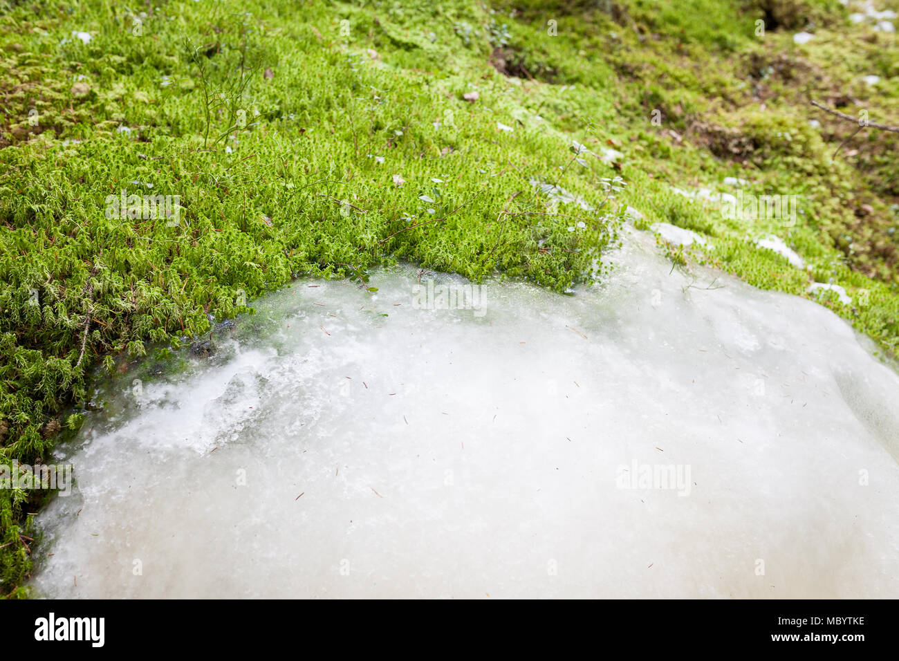 Moss ice hi-res stock photography and images - Alamy
